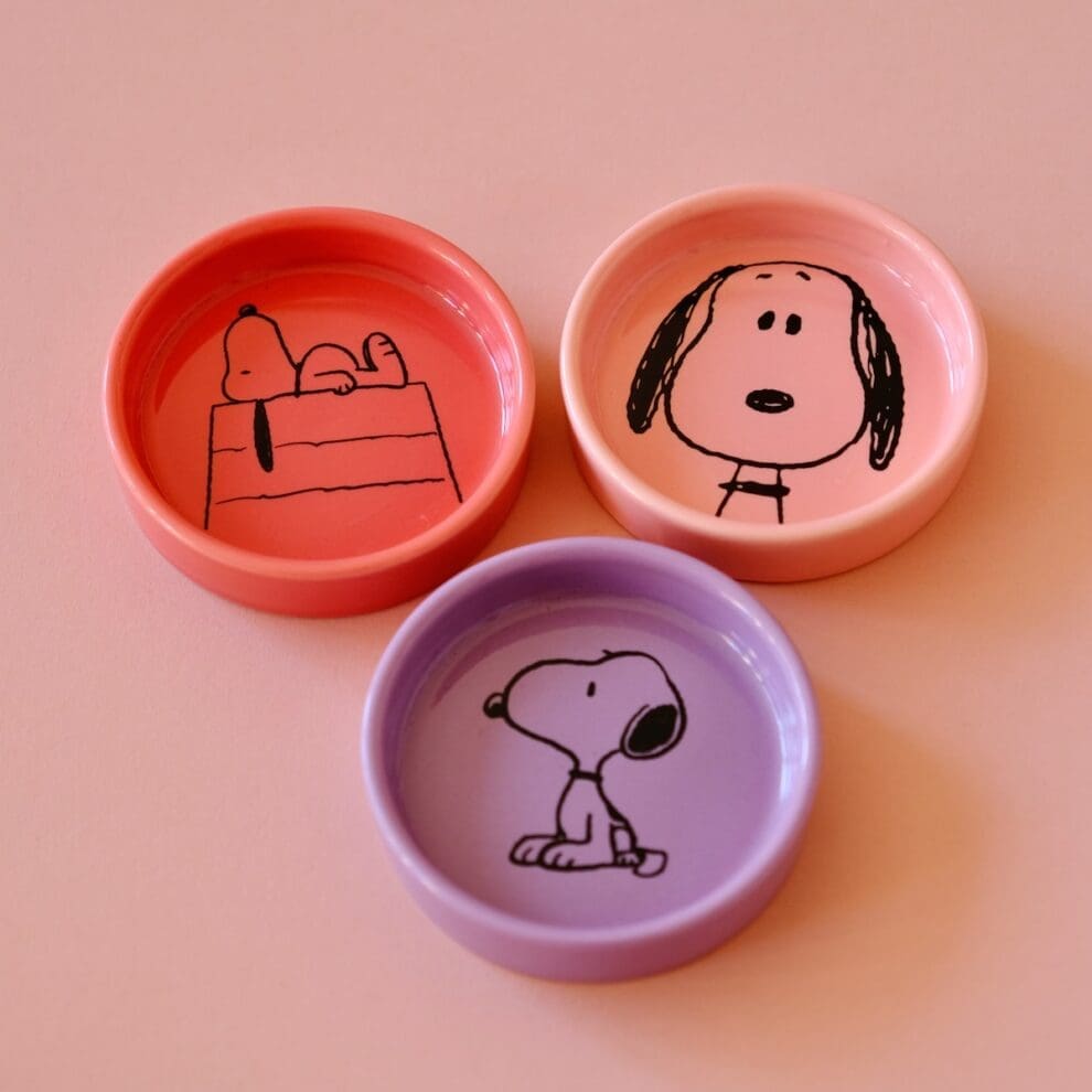 Vide-poche Snoopy - Sit! - Papeterie Julie Flamingo